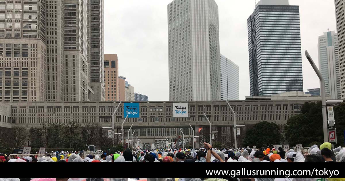 Tokyo marathon running route information