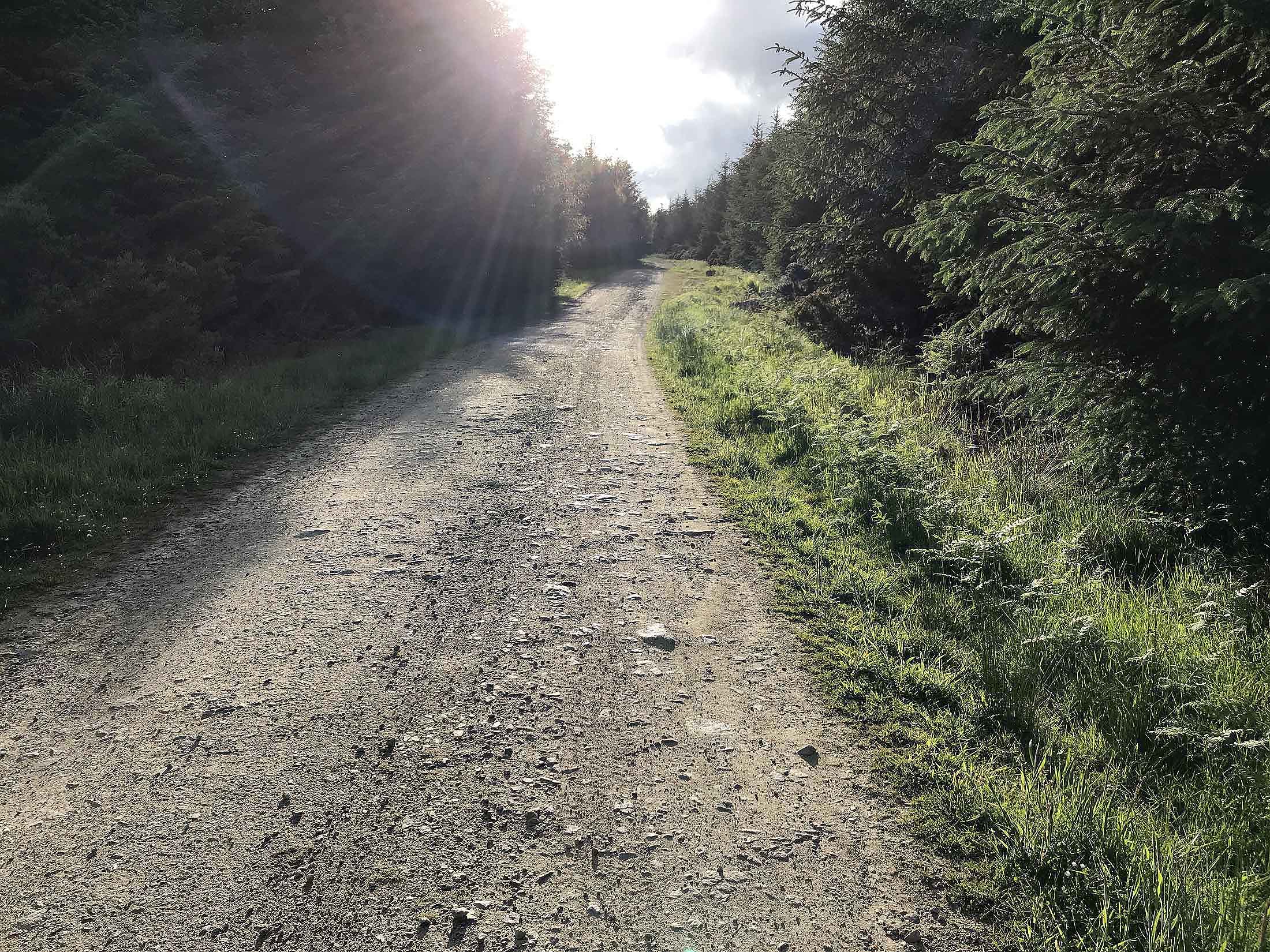 June trail and road running pictures from around Scotland