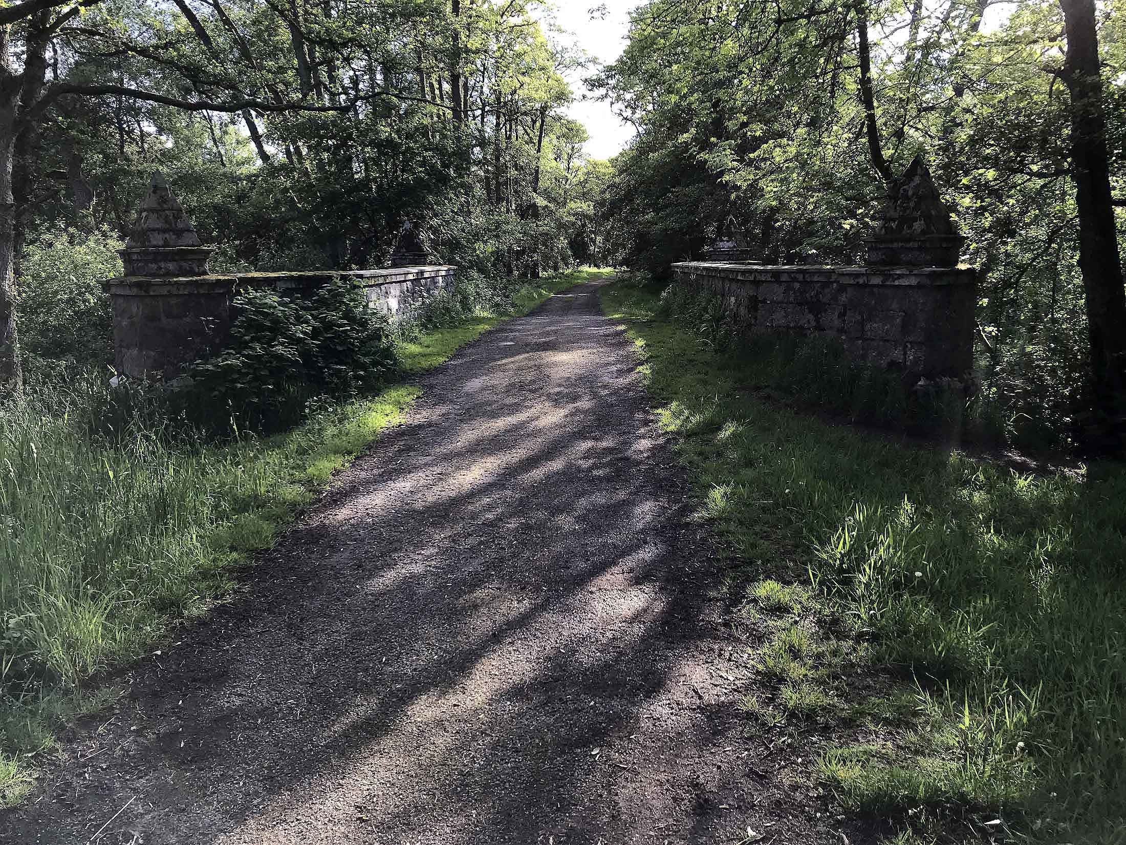 June trail and road running pictures from around Scotland