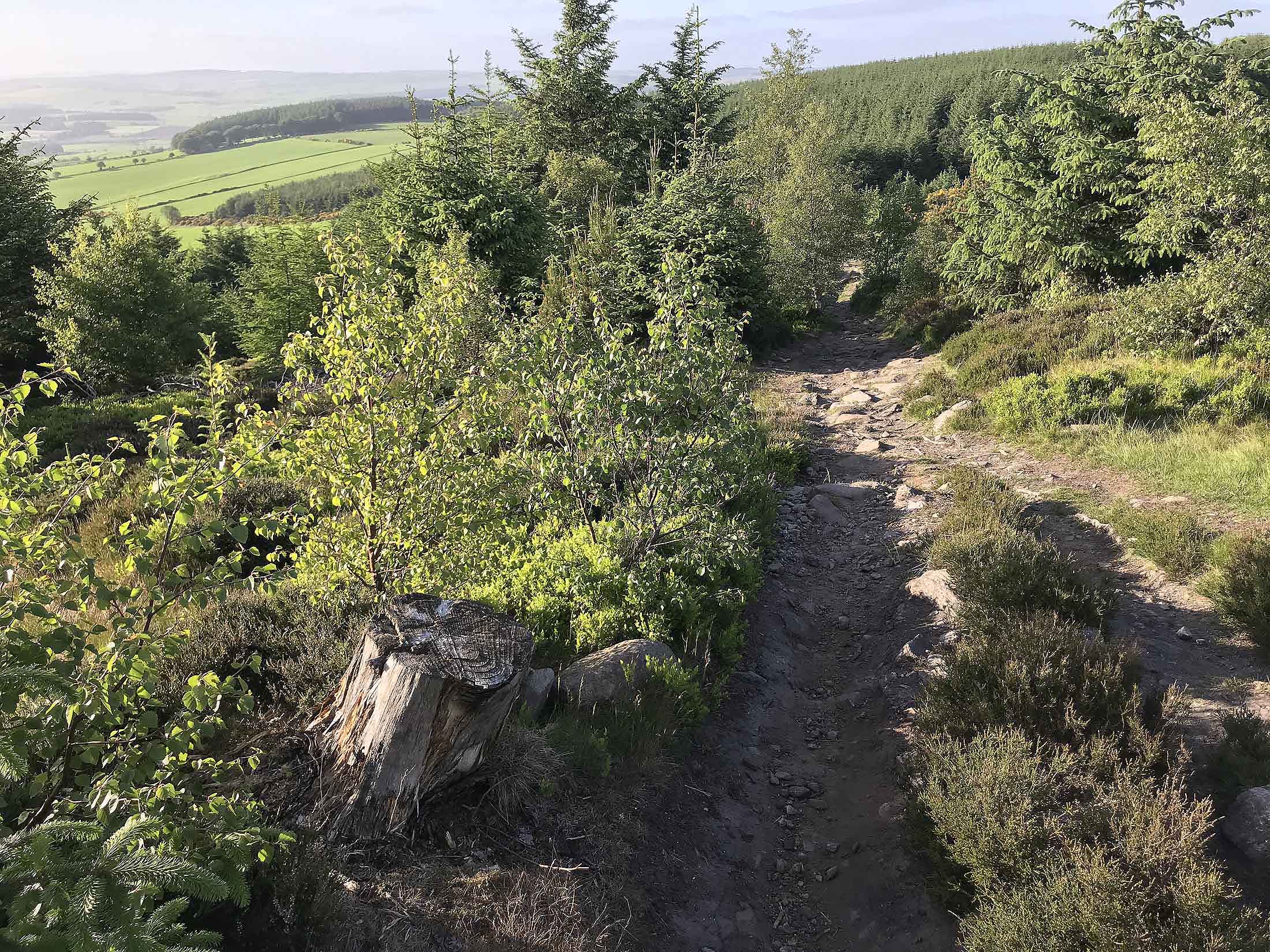 June trail and road running pictures from around Scotland