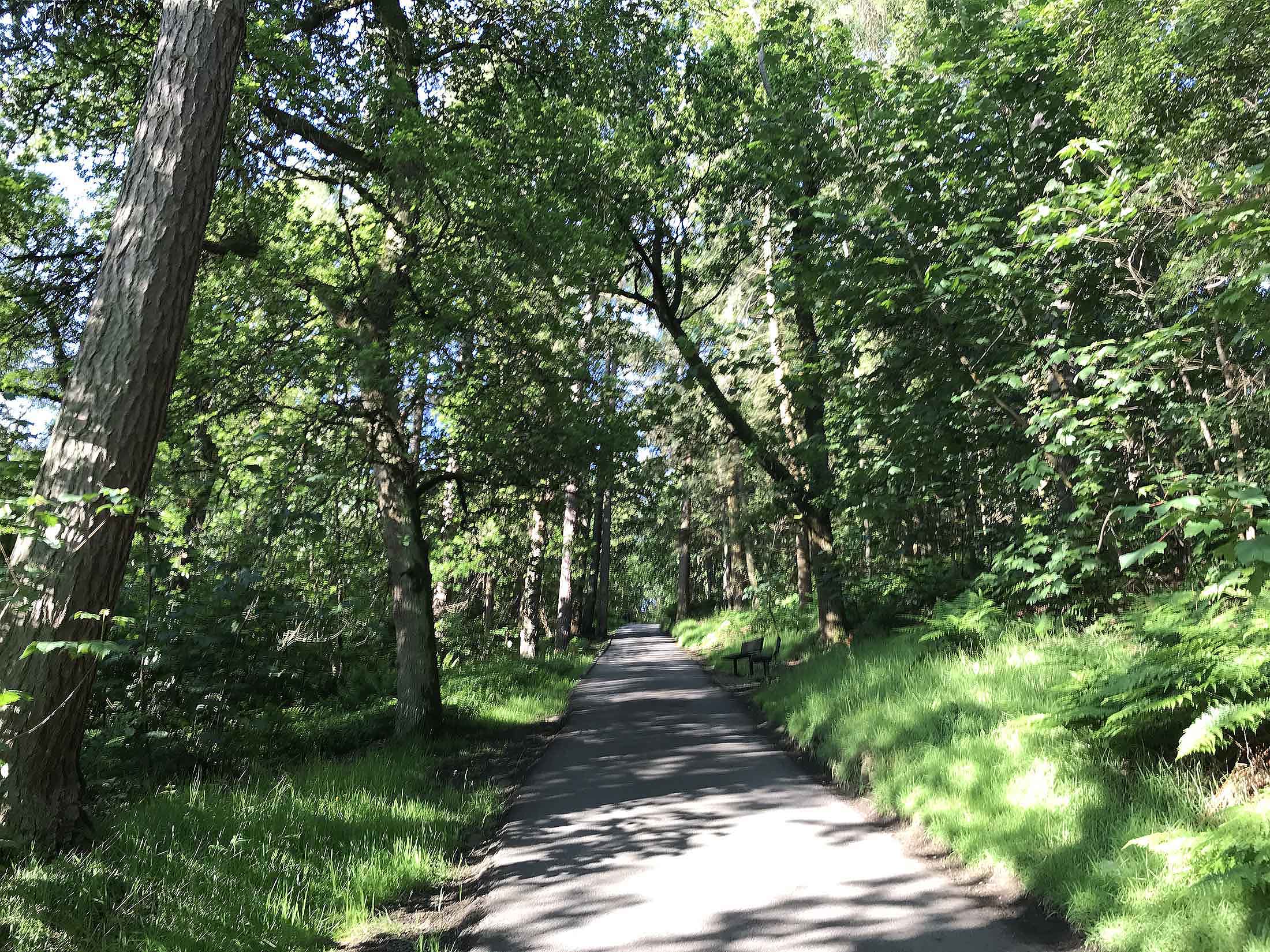 June trail and road running pictures from around Scotland