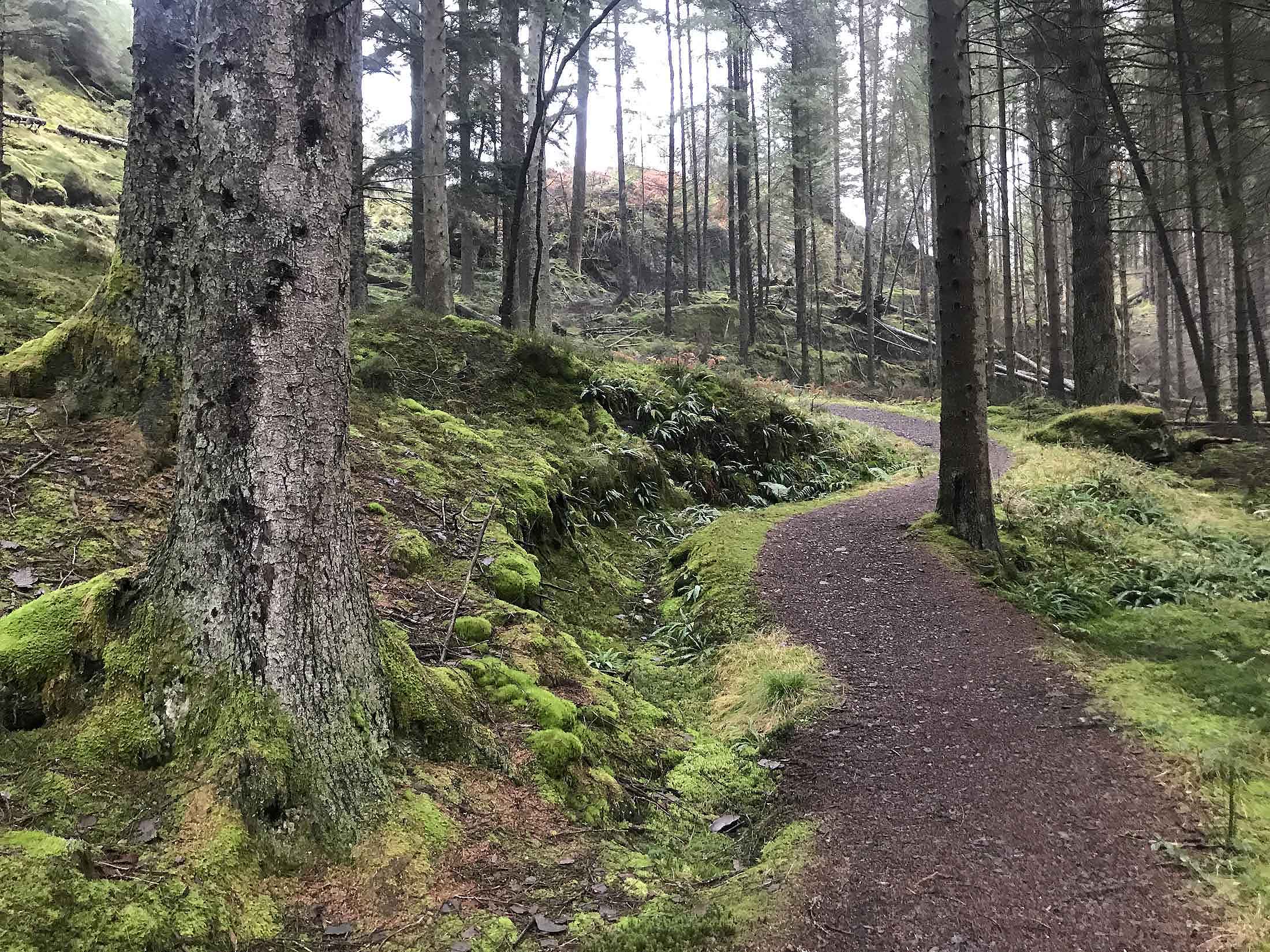 November trail and road running pictures from around Scotland