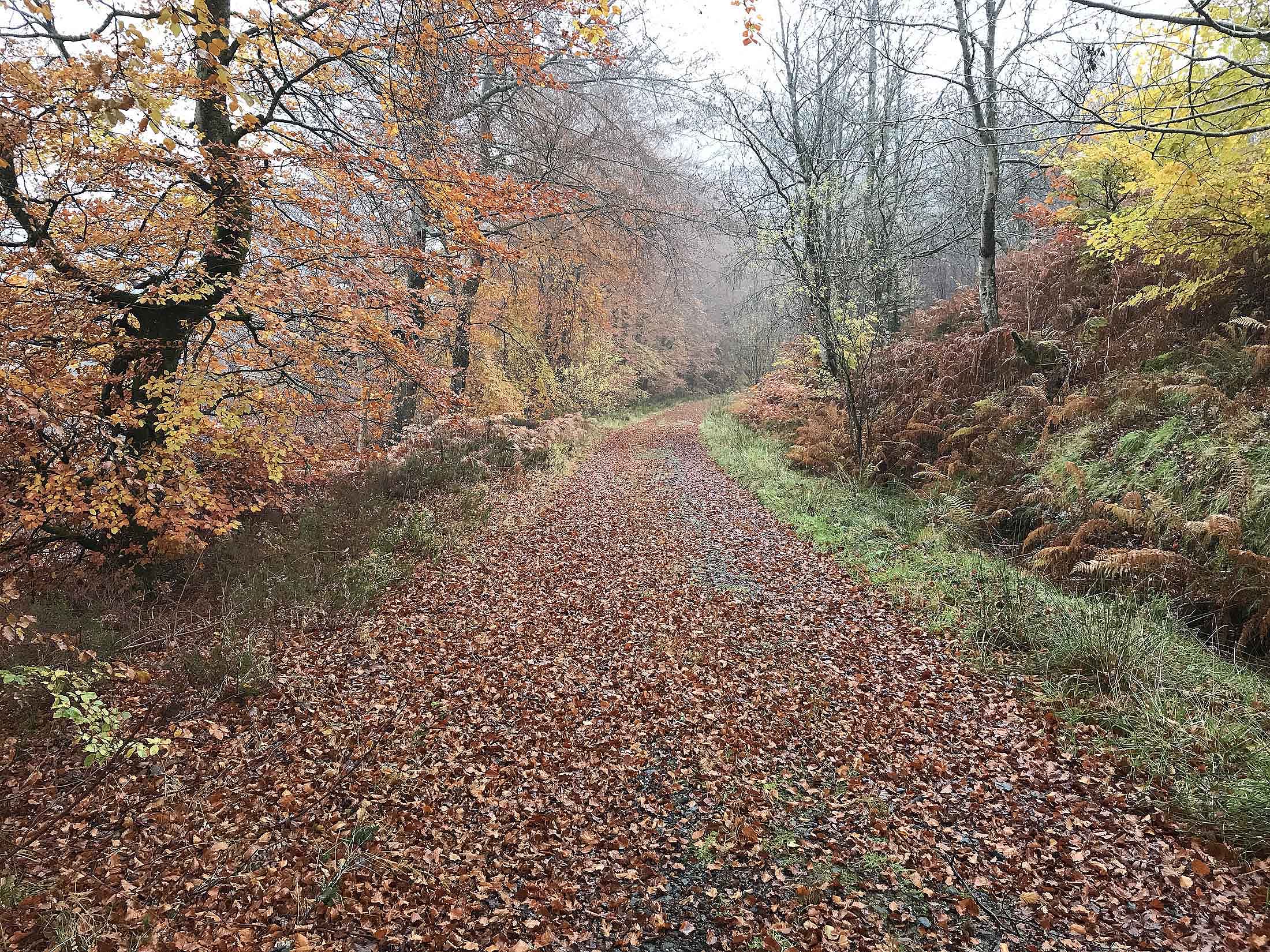 November trail and road running pictures from around Scotland