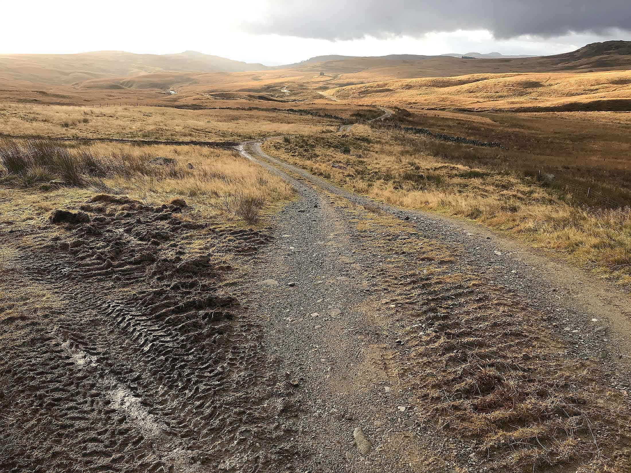 November trail and road running pictures from around Scotland